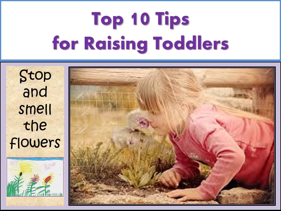 Top Ten Parenting TipsThe Center for Parenting Education