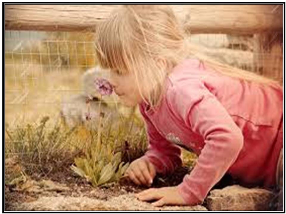 Toddlers: Slow Down to Smell the Flowers - The Center for Parenting ...